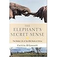 The Elephant S Secret Sense The Hidden Life Of The Wild Herds Of