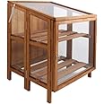 Amazon.com : Esschert Design GT32 Hardwood Small Greenhouse : Patio ...