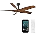 Modern Forms Zephyr Indoor and Outdoor 5-Blade 62in Smart Ceiling Fan ...
