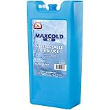 Amazon.com : Igloo Maxcold Medium Ice Block, Package May Vary (3 Pack ...