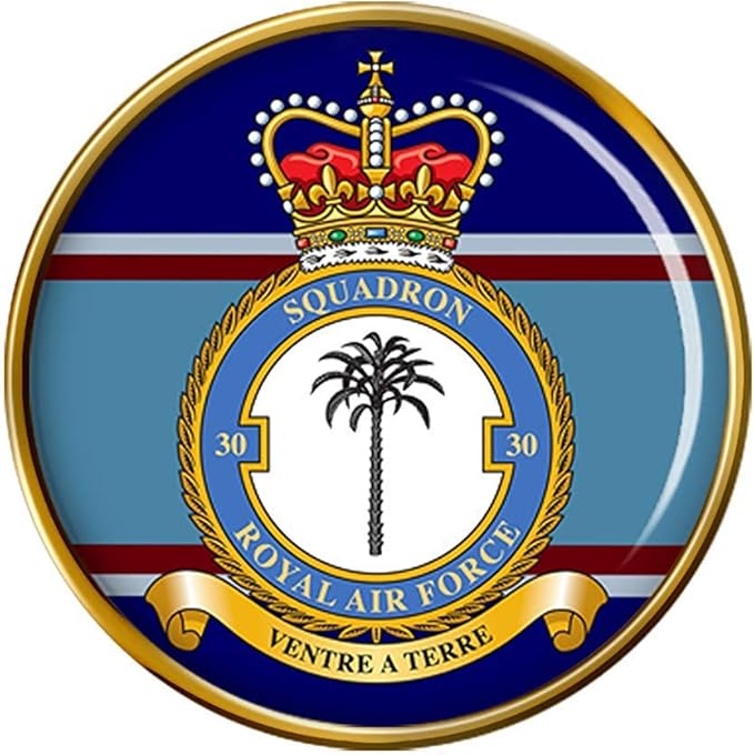 30 Squadron, RAF Pin Badge : Amazon.co.uk: Clothing