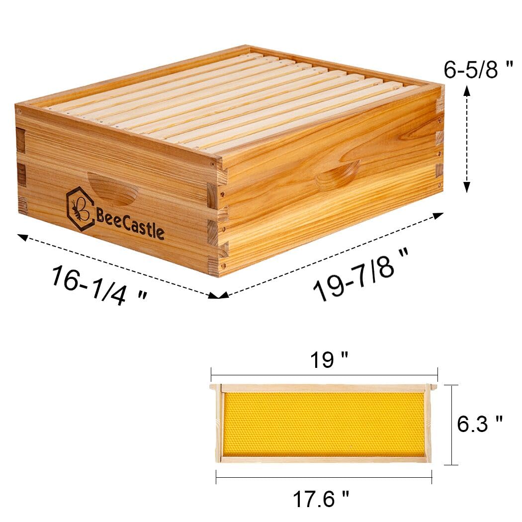 Mua BeeCastle 10 Frame Medium Super Bee Hive Box, Langstroth Honey Bee ...