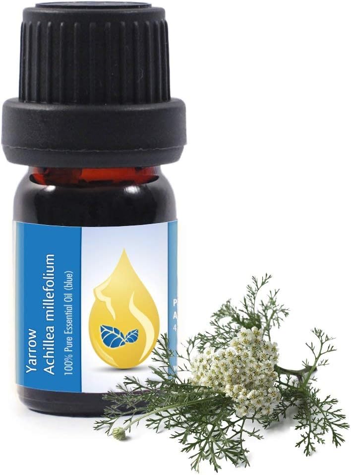 Yarrow (Achillea millefolium) Essential Oil, 100% Pure, Undiluted ...