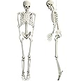 Amazon.com: 2Pack Skeletons, 5.4Ft Halloween Life Size Skeleton ...