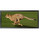 Amazon.com - Mxtallup 9x20 Picture Frame Solid Wood 9x20 Poster Frame ...