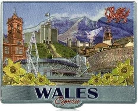 Welsh Wales Photo Montage Foil Stamp Fridge Magnet Souvenir Gift Cymru ...