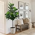 Amazon.com: Yepdin Faux Fiddle Leaf Fig Tree 6 FT - Artificial Ficus Tree with Tall Artificial ...