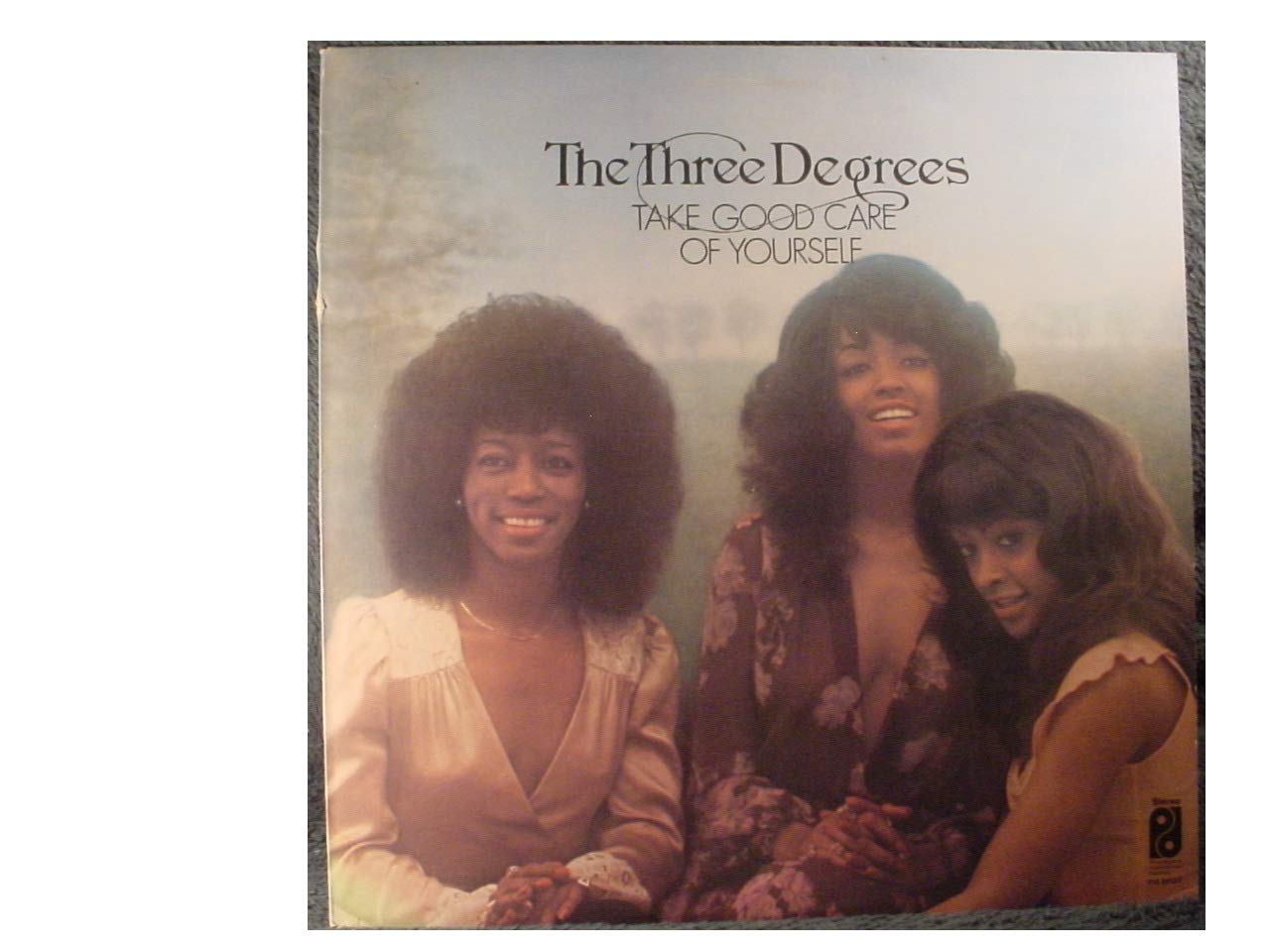 The Three Degrees - THREE DEGREES Take Good Care of Yourself LP 1975 ...