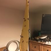 BaiYou Fly Paper Fly Strips Fly Catcher Strips 16 Pack Sticky Fruit Fly ...