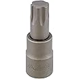 Amazon.com: ABN Torx Plus 55 TP55 Torx Socket, 3/8in Square Drive – For ...