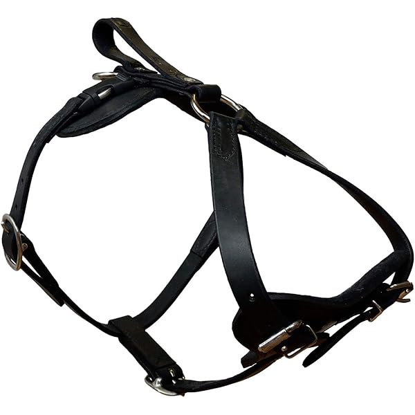 Signature K9 Harness | atelier-yuwa.ciao.jp