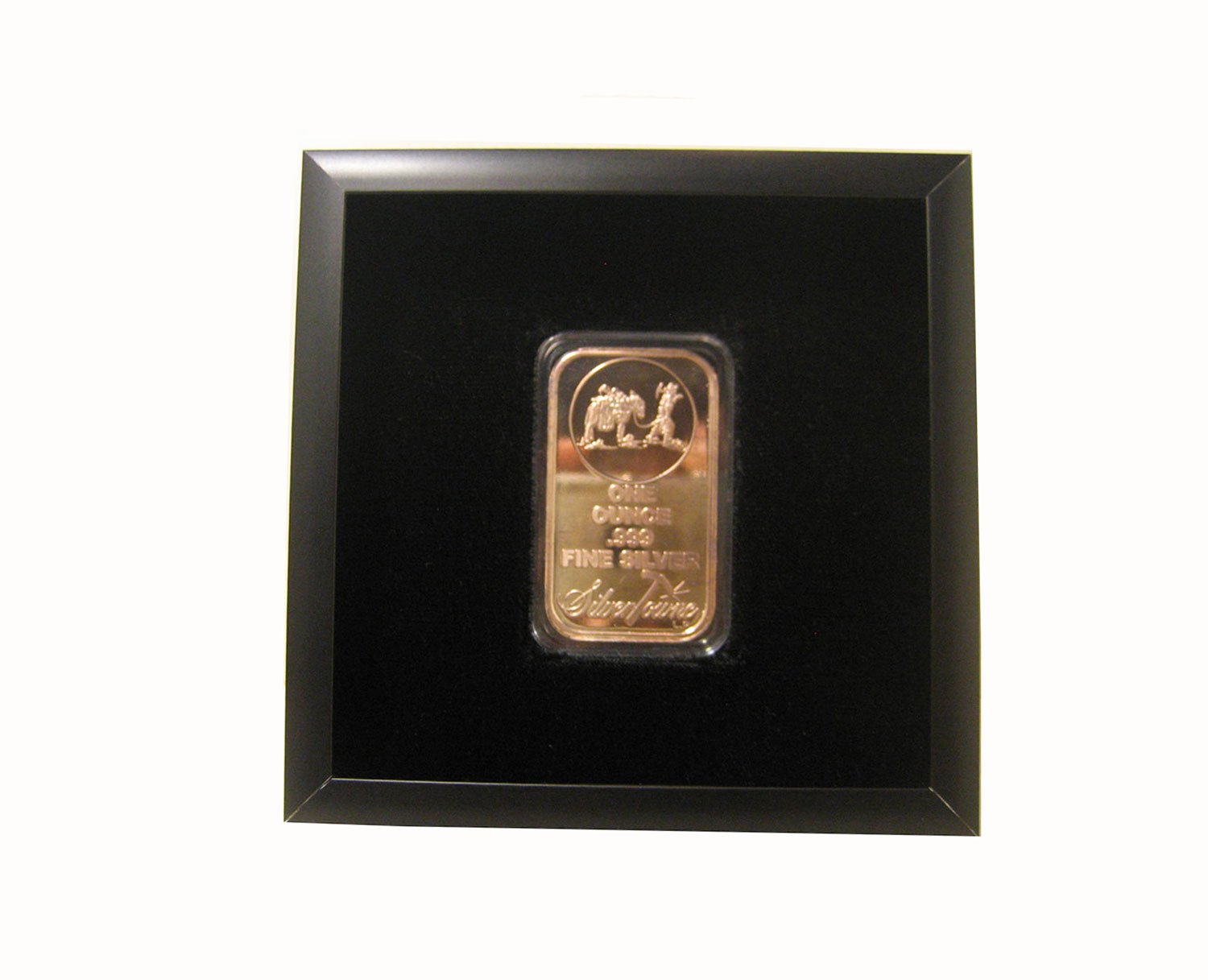 Amazon.com : Aluminum 4 x 4 Coin/Bullion Display Frame for 1 troy ounce ...