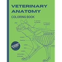 Amazon.com: VETERINARY ANATOMY COLORING BOOK - 25 FIGURES - 54 PAGES ...