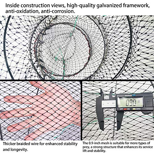 Portable Collapsible Crab Traps Foldable Crabbing Nets for Lobster ...