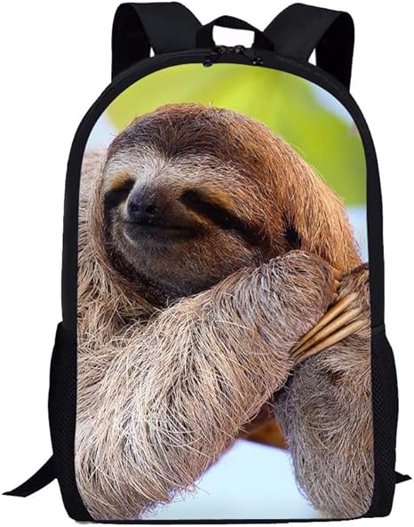 Amazon.com | Customized Children School Backpack Sloth Animal Book Bags ...