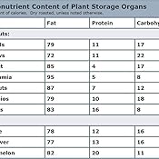 Happilo Premium Californian Roasted and Salted Pistachios, 200g (Pack ...