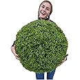 Amazon.com - 365 Curb Appeal 23" XL Topiary Balls (Better Than A ...