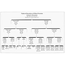 árbol Genealógico De Albert Einstein