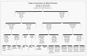 Amazon.com: Einstein Family Tree Ntable Of Ancestors Of American ...