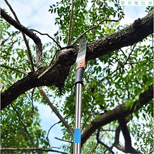 Pruning Saw For Extension Pole at Virginia Morgan blog