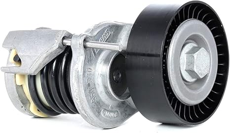 Amazon.com: INA Drive belt 534016410: Automotive