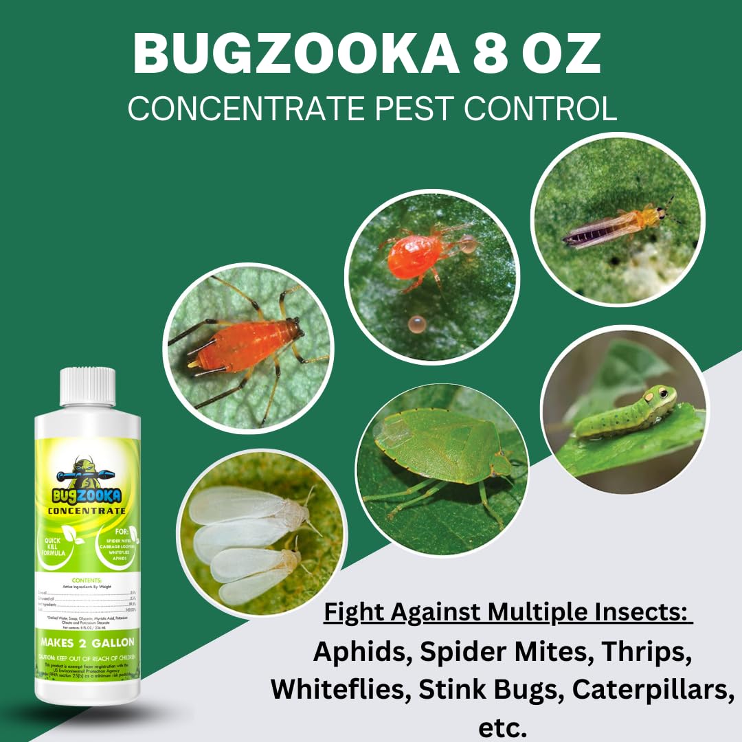 Mua BugZooka 8oz Concentrate: Makes 2 Gallons All Natural Prevents Ants ...