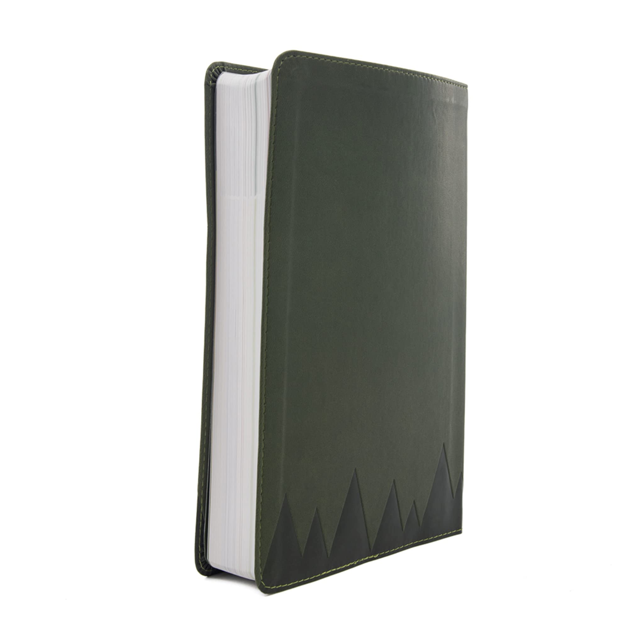 Mua CSB Explorer Bible for Kids, Olive Compass LeatherTouch, Red Letter ...