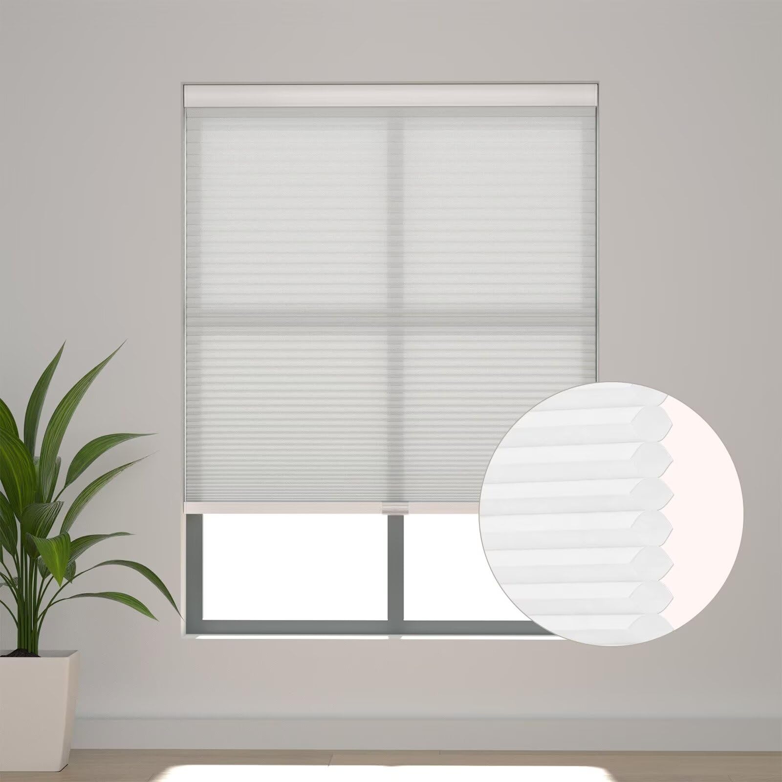 Changshade Cordless Cellular Shades Window Blinds for Indoor Windows ...
