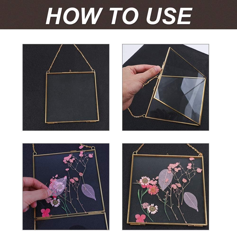 Wall Hanging Glass Frame Glass Frames for Pressed Flowers Glass Frames ...