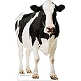 Amazon.com: Cardboard People Cow Life Size Cardboard Cutout Standup ...