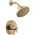 Delta Faucet Saylor 17 Series Gold Shower Valve Trim Kit with ...