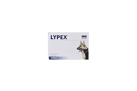 Buy Lypex Capsules - 60 Capsules Online at Low Prices in India - Amazon.in