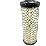 AF25960 Fleetguard Filtro de aire primario (sustituye a Donaldson ...