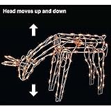 Amazon.com: Rudolph Misfit Toy Train Christmas Yard Decoration: Home ...