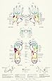 Amazon.com: Reflexology Chart: Home & Kitchen