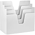 Amazon.com : Acrimet Hanging File Folder Holder Organizer Horizontal 3 ...