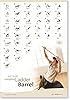 STOTT PILATES Wall Chart - Complete Ladder Barrel in Kuwait | Whizz ...