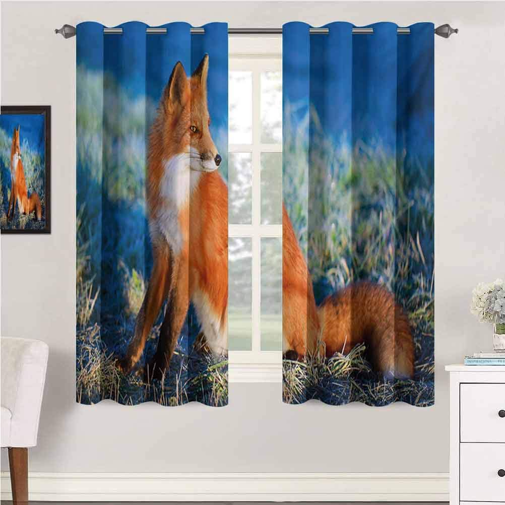 Amazon.com: Fox Window Blackout Serene Autumn Field in Cold Morning ...