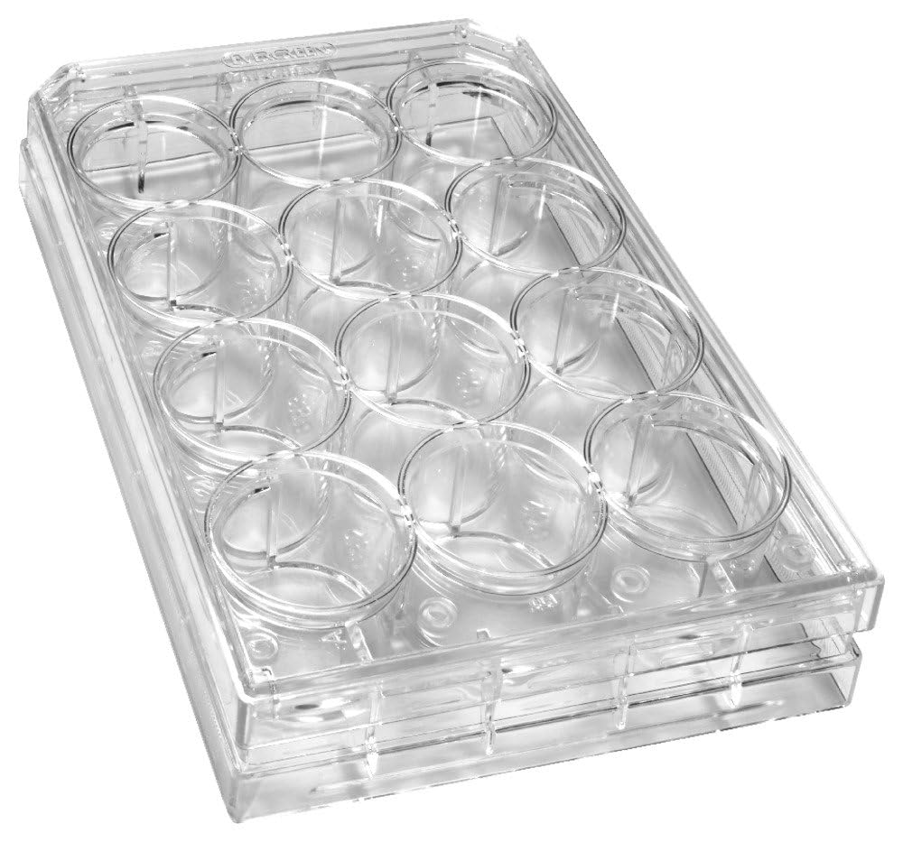 Storage Microplates Bahrain | Buy Online | Whizz Others