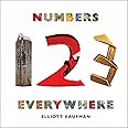 Amazon.com: Numbers Everywhere: 9780789211576: Kaufman, Elliott: Books