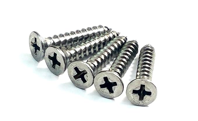 Stainless Steel Screws 1 Inch #9 for Door Hinges - 24 Pack: Amazon.in ...