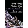 Many Things Under a Rock: The Mysteries of Octopuses: Scheel, David ...