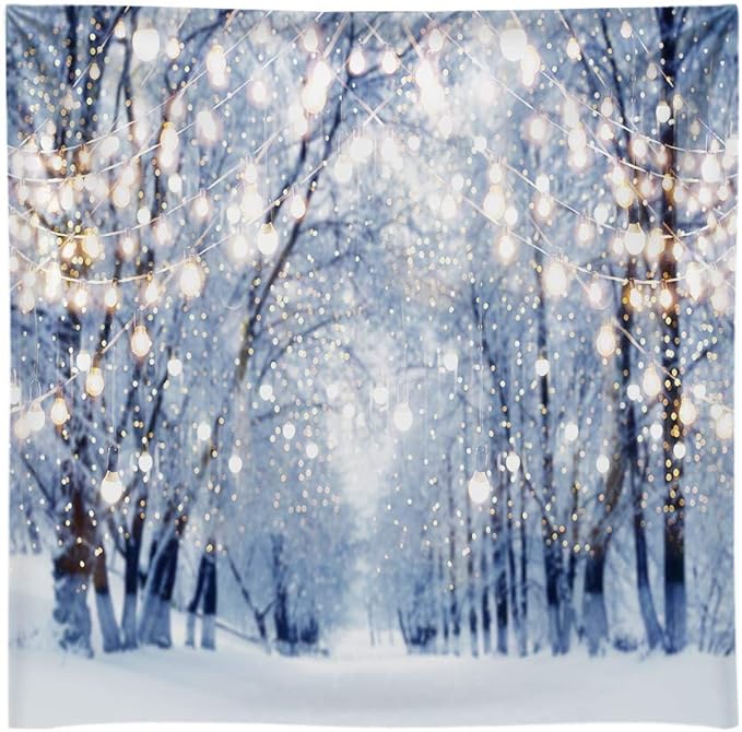Amazon.com : Funnytree 8x8ft Winter Scene Backdrop Wonderland Snowflake Photography Background ...