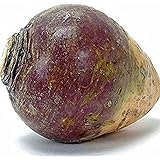 Amazon.com : Rutabaga, American Purple Top Rutabaga Seeds, Heirloom ...