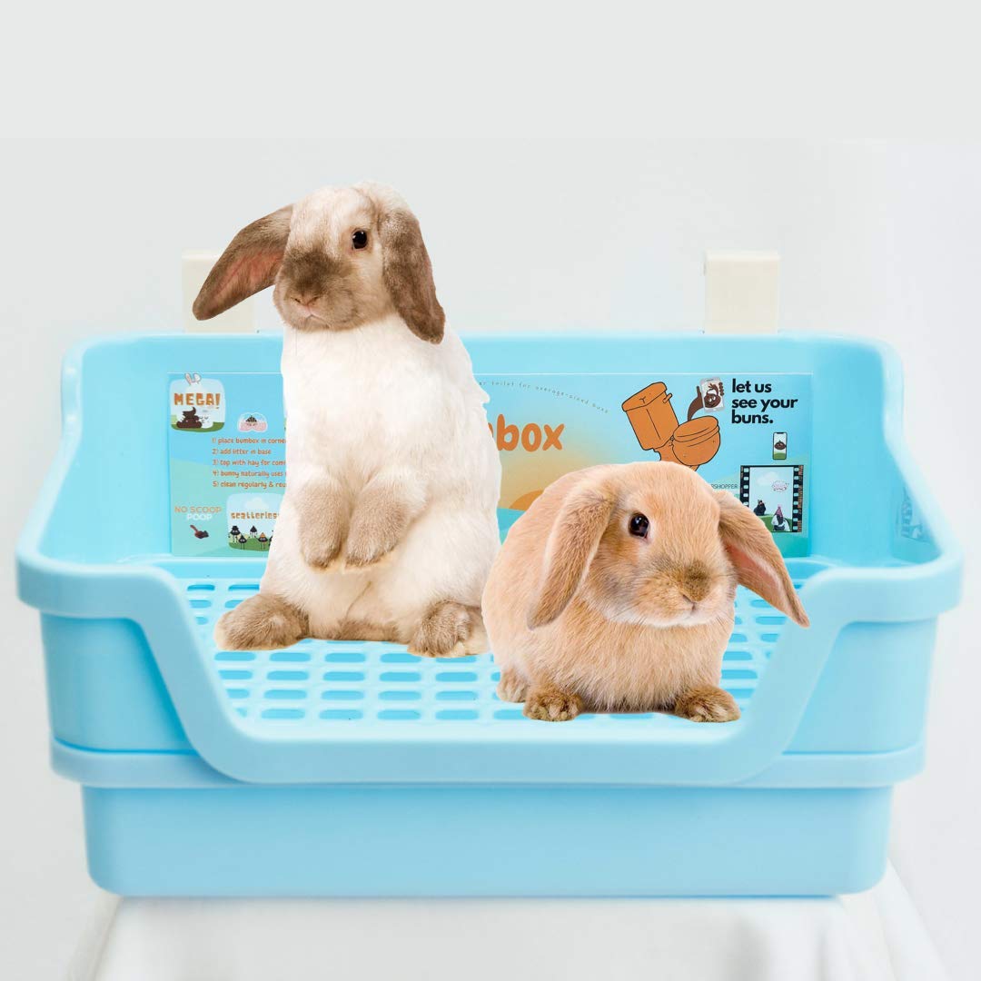 HoppScotch.bun BUMBOX - Extra Large Rabbit Litter Box w/Plastic Grid ...