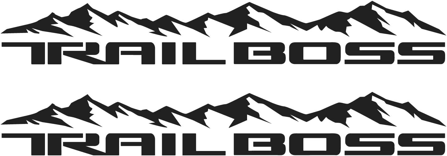 Amazon.com: EmblemsPlus 2019 2020 2021 Chevy Silverado Matte Black ...