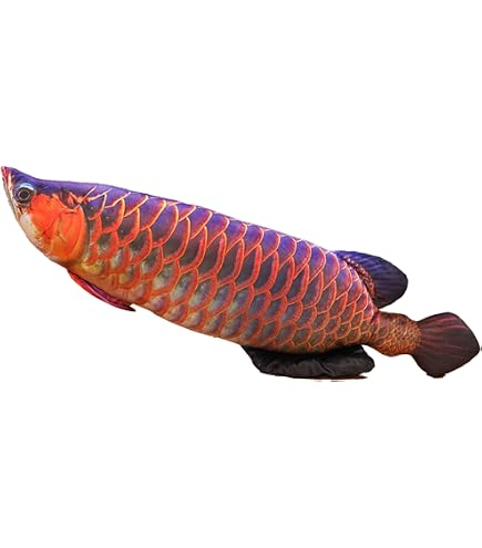 Betta Fish Flare Toy