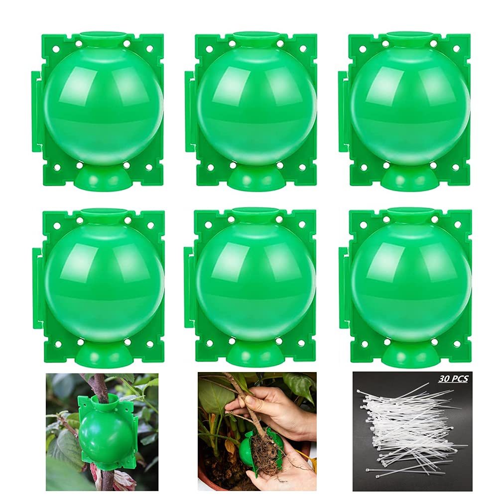 Mua Air Layering pods, Reusable Plant Rooting Device Plant Rooting Grow ...