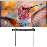 ONN Televisión de 65 Pulgadas Serie 1 Class 4K 2160p Pantalla LED Smart ...