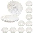 Amazon.com: Plastic Containers 10Pcs Sea Shells Candy Boxes Seashell ...